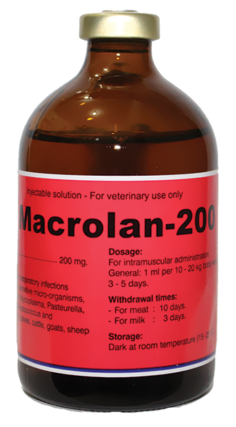 invet.ge - მაკროლანი 200